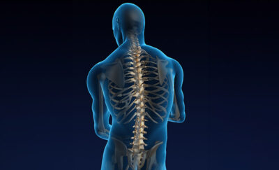 Understanding the Backbone: Anatomy and Physiology of the Spine ...